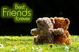 45+ Best Friends Forever Images for WhatsApp DP and Facebook Profile